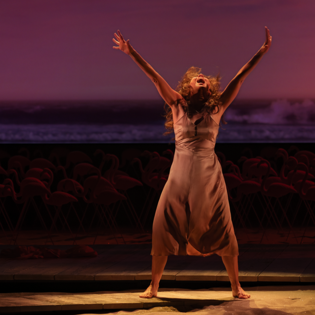 Design - Lucy Mackinnon