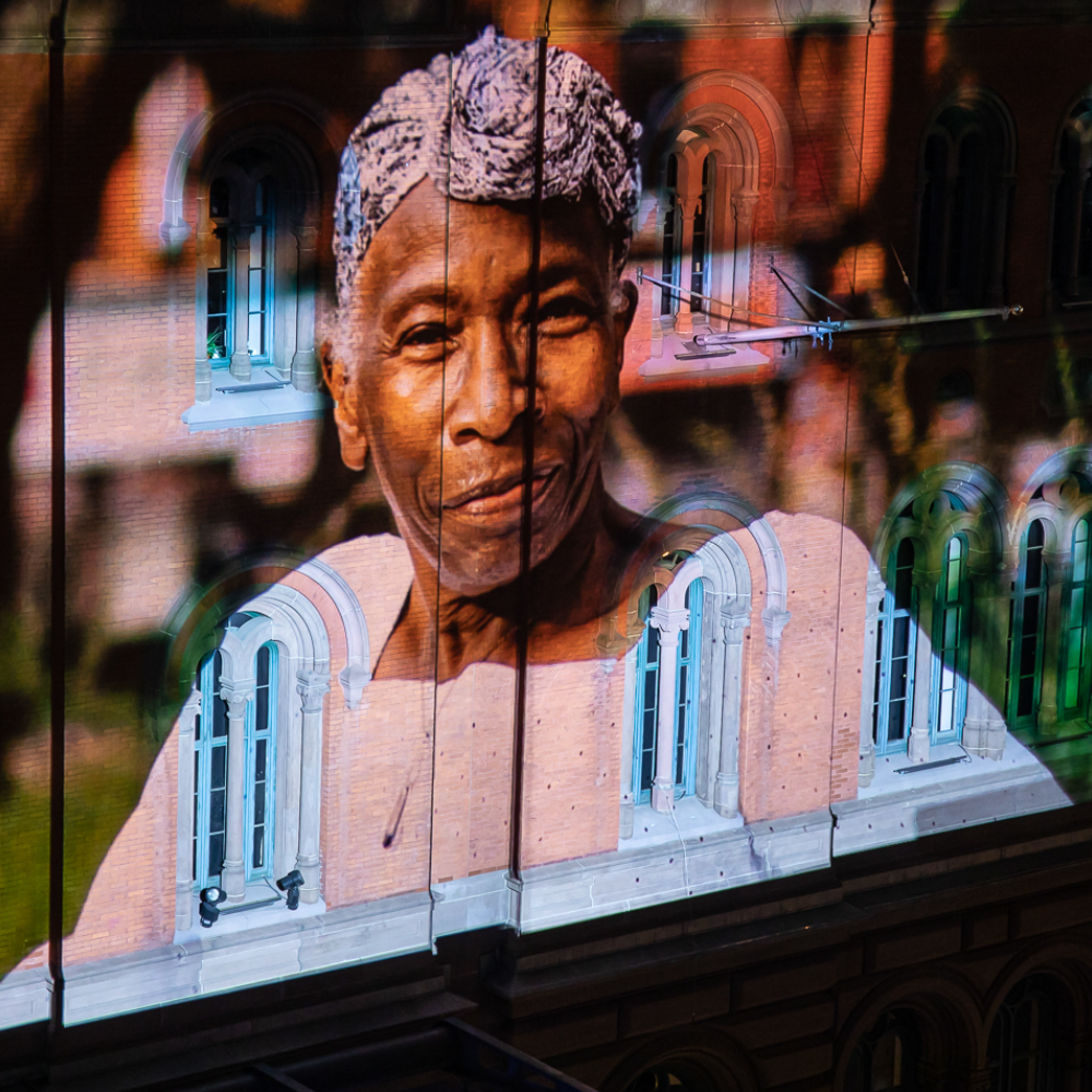 The Seed Project - Lucy Mackinnon